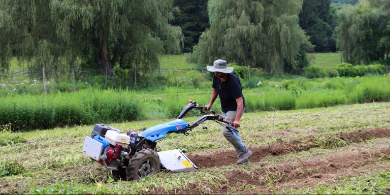Camphill Village USA - Camphill Association of North America