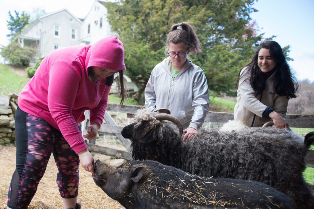 Camphill Soltane - Camphill Association of North America